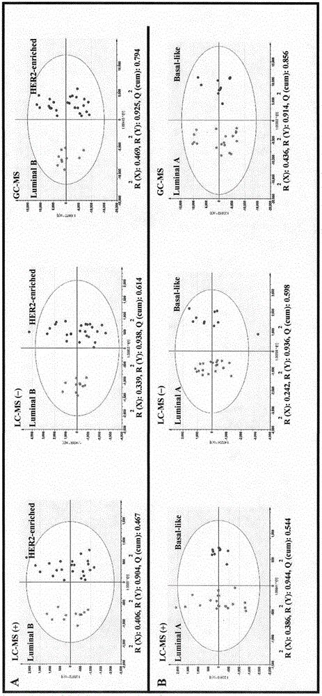 Breast Cancer Subtype Biomarker Distinguishing Composition Eureka Patsnap