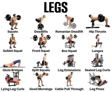 운동 해부학적으로 보기