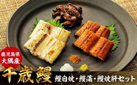 鹿児島県大隅産 千歳鰻の鰻白焼・鰻蒲・鰻焼肝セット Vふるさと納税