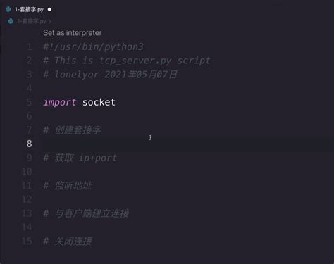 什么是套接字 Csdn博客