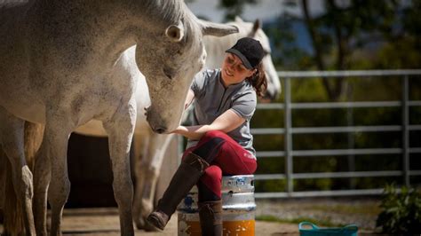 Cleo Murphy On Linkedin Equineeducation Horsewelfare