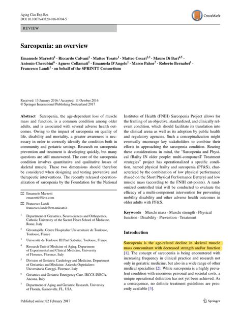 Sarcopenia An Overview Pdf Medical Imaging Ct Scan