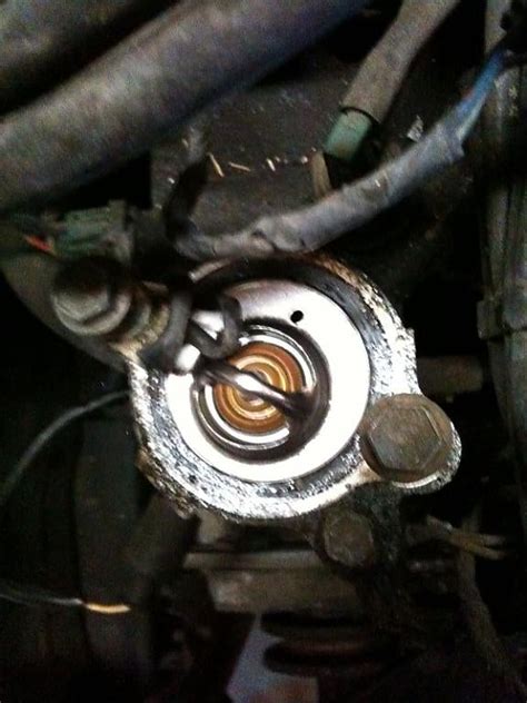 Thermostat Suzuki Forums