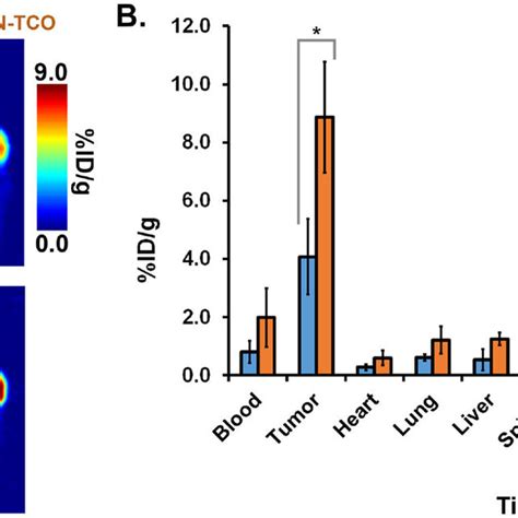 In Vivo Pretargeting Study In Athymic Nude Mice N 4 Bearing