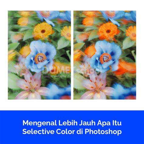 Mengenal Lebih Jauh Apa Itu Selective Color Di Photoshop Kursus