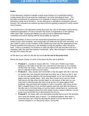 Cranial Nerves Lab Docx LAB EXERCISE CRANIAL NERVE FUNCTION Notes In This Laboratory