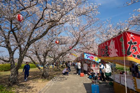 お久しぶりの🌸お花見🍻 山賀 Blog