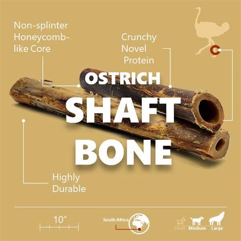 Ostrich Shaft Bones 11 X 2 The Long Lasting Flavorful Chew For M