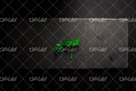 تصویر با کیفیت سبزیجات همراه با پس زمینه و گیاه سبز ایران طرح