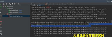 Nacos Is Ephemeral Service Can T Register Persistent Instance