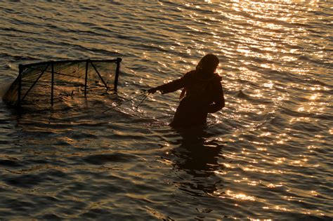 Natures Safety Net Why Protecting Mangroves Is A Must Greenpeace