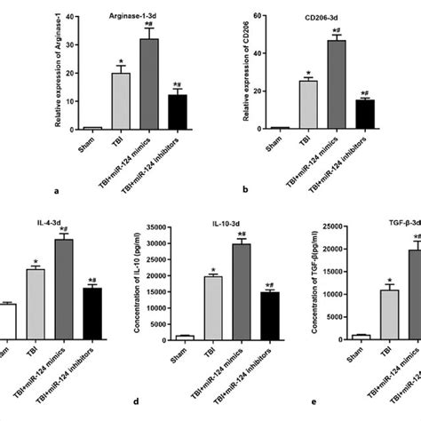 Upregulation Of Mir 124 Promoted The Expression Of M2 Microglia Markers Download Scientific