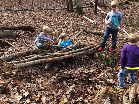 Starting A Forest Group for Kids • RUN WILD MY CHILD