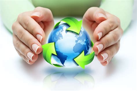 Consultoria Ambiental Sp Descubra Suas Funções Ideias