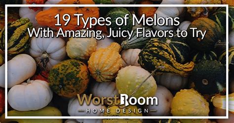 19 Types Of Melons With Amazing Juicy Flavors To Try Worst Room
