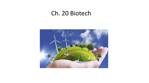 Dna Recombinant Technology On Insulin Modification Ppt