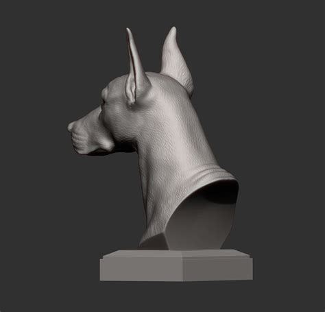Doberman Bust 3d Print Model By Alexander3dart