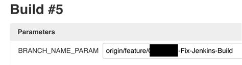 Jenkins Build Pipeline Using A Branch Parameter Stack Overflow