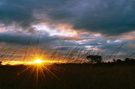 Create A Simple Responsive Image Gallery With Html And Css By Tim