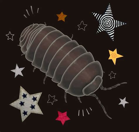Silly Pill Bug Bug Art Bugs Drawing Beetle Art