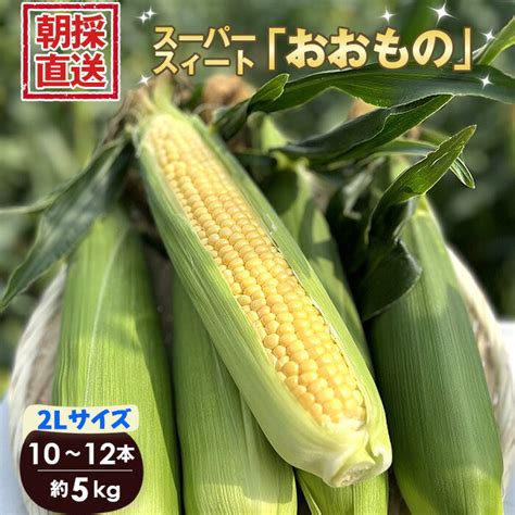 【楽天市場】【ふるさと納税】no265 坂東市産 朝採り直送とうもろこし スーパースィート「おおもの」2l 10本～12本 5kg