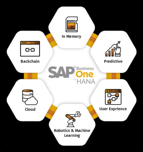 SAP Business One HANA Solution SAP B HANA Consultant