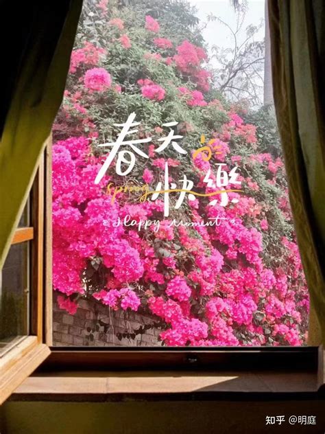 给快乐找一个理由对这个世界心怀善意和尽量把眼光放长远一点点 知乎