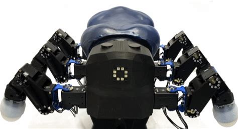 morph archives robotic gizmos