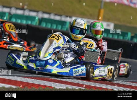 Barbadianer Rennfahrer Zane Maloney Red Bull Racing Junior Team Und F1