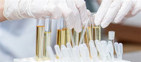 Maximize Output Minimize Costs Value Based Lims For Modern Toxicology