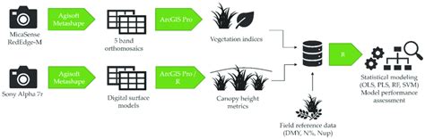 Schematic Workflow Of Data Acquisition Processing Feature Extraction