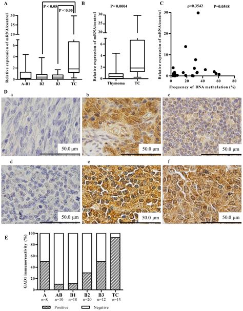 GAD1 Expression And Its Methylation As Indicators Of Malignant Behavior