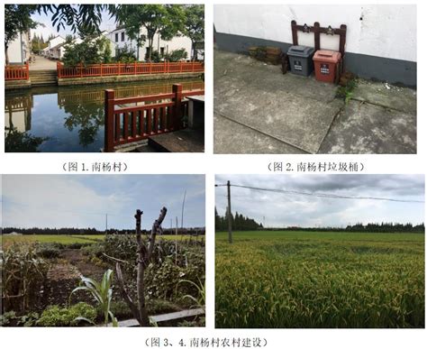 松江一中 新农村——走向希望的田野 探索新浜镇南杨村的卫生建设——论疫情防疫的开展