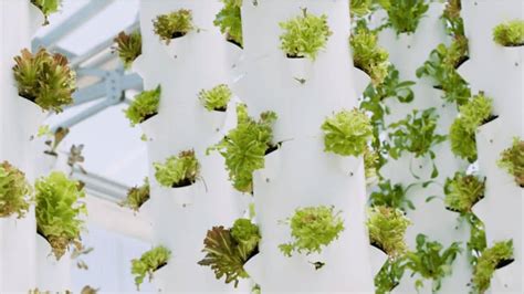 Vertical Farming Diagram A Simple Hydroponic System Map