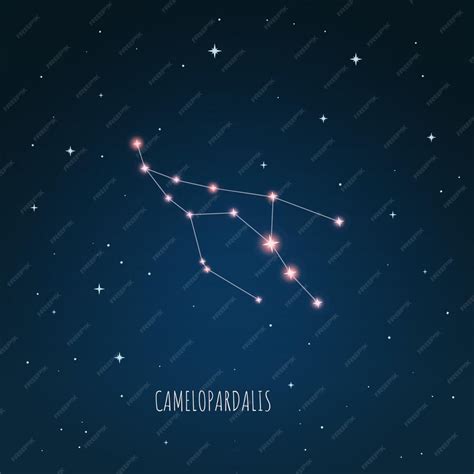 Premium Vector Constellation Camelopardalis Scheme In Starry Sky Open Space Constellation