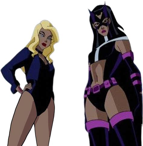 Huntress And Black Canary Dcau Vector 3 By Mrtoonlover83 On Deviantart