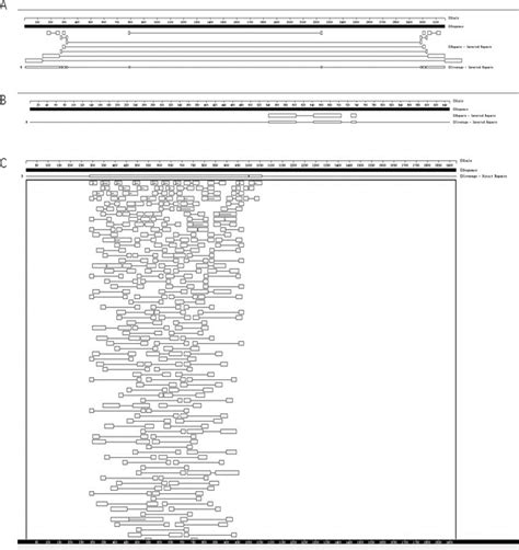 Direct Pacbio Sequencing Method And Application For Different Types Of Dna Sequences
