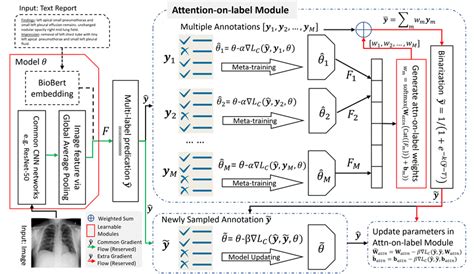 Overview Of The Proposed Attention On Label Learning Framework