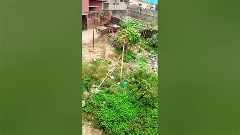 আমার সোনার বাংলা আমি তোমায় ভালোবাসি চিরদিন তোমার আকাশ তোমার বাতাস আমার