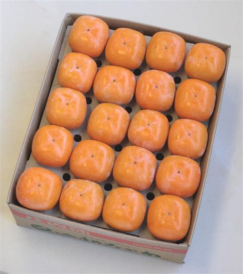 Jp かき山形県 Ja庄内たがわ 庄内柿 秀品 35kg （ 18～20玉 ） L、mサイズ、※シブガス抜き 食品