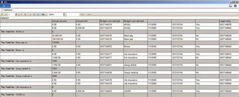 Coding Champ Precision Design In SSRS Reports