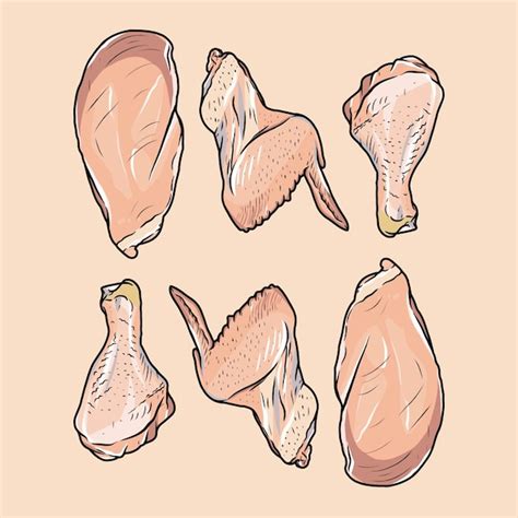 원시 닭 가슴살 날개와 다리 만화 벡터 일러스트 레이 션 프리미엄 벡터