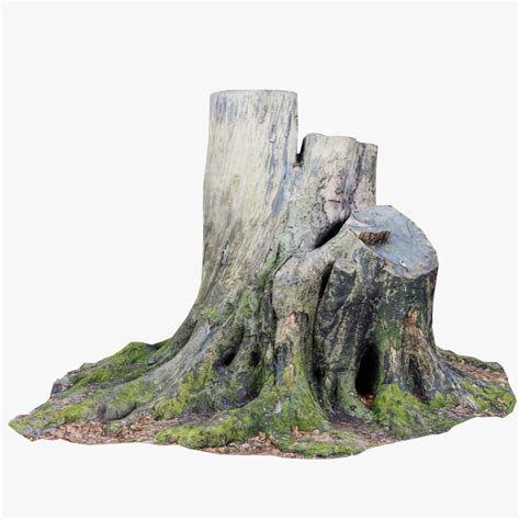 Large Triple Sawed Off Tree Stumps 3d Model Download Landscapes On