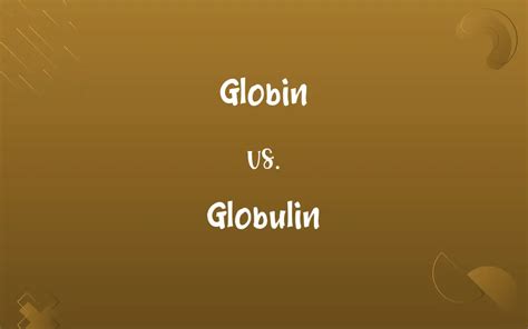 Globin Vs Globulin Know The Difference
