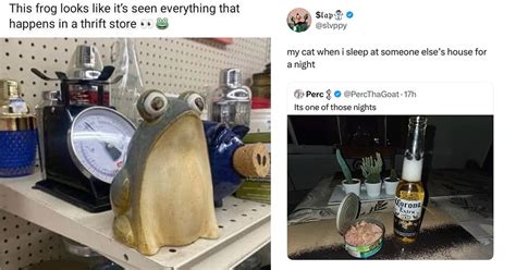 45 Smart Memes You Might Need A Phd To Understand