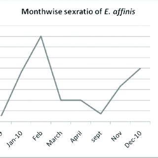 Month Wise Sex Ratio Of E Affinis Download Scientific Diagram
