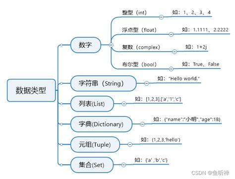 Python Python Csdn