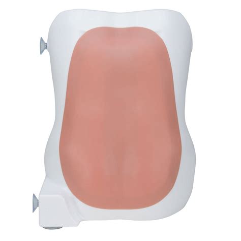 Epidural And Spinal Injection Trainer Sem Trainers