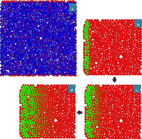 Numerical Modelling Of The Seepage Process In A Soft Rock Sample Download Scientific Diagram