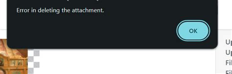 Various Error After Last Update And Bunny Cdn Integration